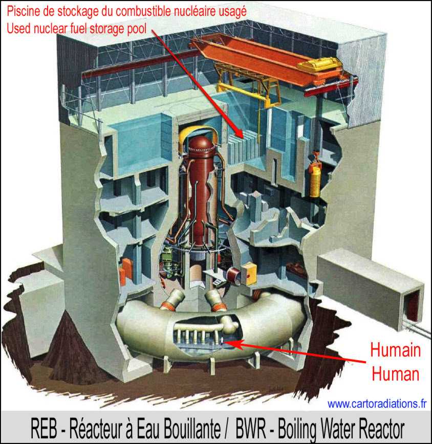 nucléaire : Vers la Révolution